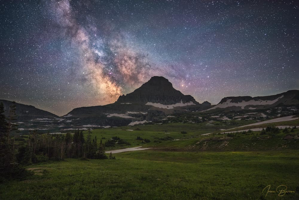 7 Field Tips for Using a Move Shoot Move Tracker By Imma Barrera – Move ...