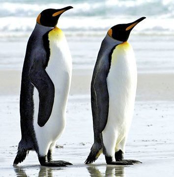 How to do Polar Alignment in the Southern Hemisphere with MSM Rotator ...